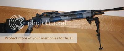 DMR Build | M14 Forum